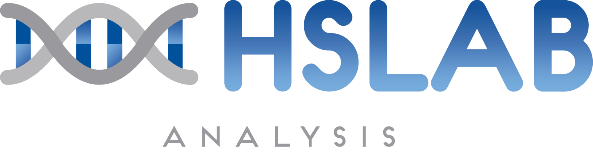 HS LAB - HS Consulting